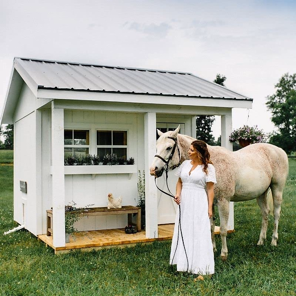 Amtrak Solar Powerful 50-Watt 12" Plastic Fan with 7" Metal Blade Solar Fan for travel and camping (Portable)