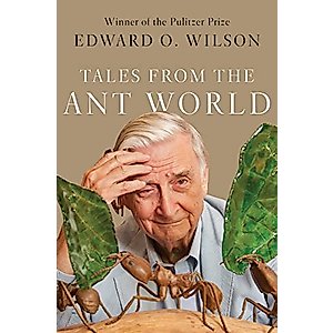 Tales from the Ant World
