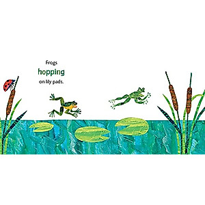 Spring Sings for the Grouchy Ladybug (The World of Eric Carle)