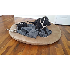 Big Dog Antler Chews - Deer Antler Dog Chew, Medium, 9 Inches to 13 Inches Long. Perfect for Your Medium to Large Size Dogs and Puppies! Grade A Premium. Happy Dog Guarantee!