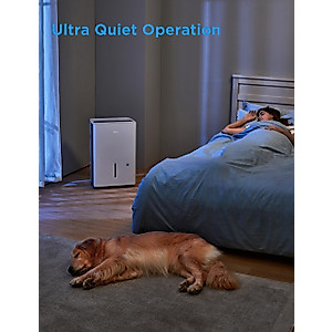 Midea 1,500 Sq. Ft. Energy Star Certified Dehumidifier With Reusable Air Filter 22 Pint - Ideal For Basements, Large & Medium Sized Rooms, And Bathrooms (White)