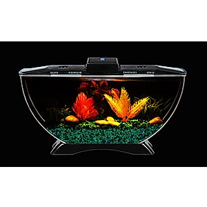 BettaTank 1-Gallon Deco Fish Tank with LED Lighting