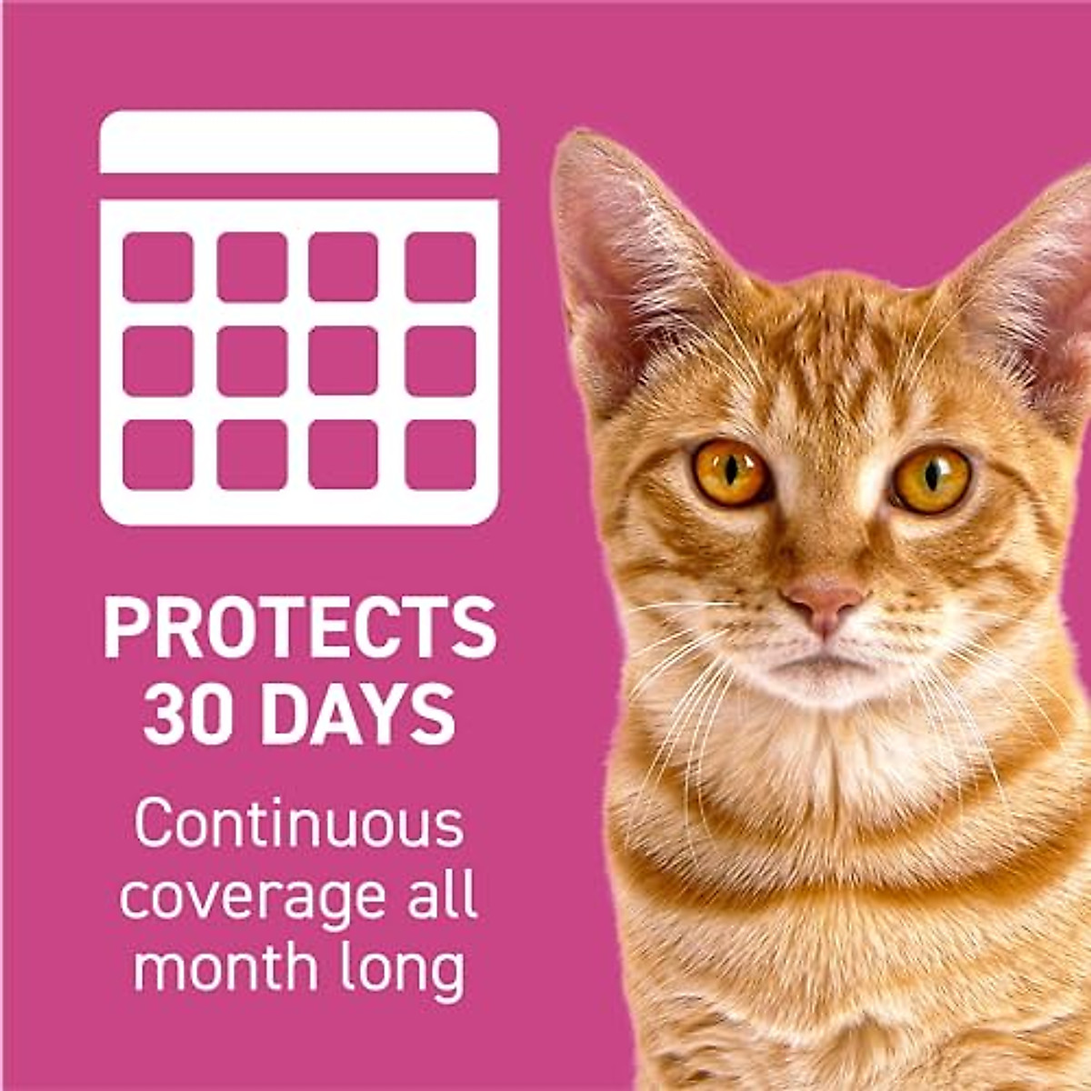 NEXTSTAR Flea and Tick Prevention for Cats, Fast Acting Topical Treatment & Control, Waterproof Drops, Small Cat and Kitten Over 3.5 lbs - 3 Month Supply