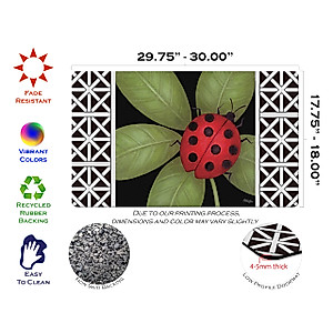 Toland Home Garden 800054 Ladybug Summer Door Mat 18x30 Inch Outdoor Doormat for Entryway Indoor Entrance
