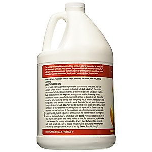 Mister Max Original Scent Anti Icky Poo Odor Remover, Gallon Size