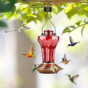 BOLITE 18018-R Hummingbird Feeder, Glass Hummingbird Feeder for Outdoors, Tower Shape Bottle, 20 Ounces, Red