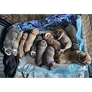 Flymind Puppy Collars, 19Pcs Whelping Puppy ID Collars with Bell Adjustable 19-32cm, Soft Nylon Litter Identification Dog Collars for Newborn Pets