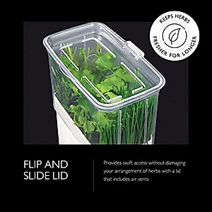 COLE & MASON Fresh Herb Keeper, Container, Clear
