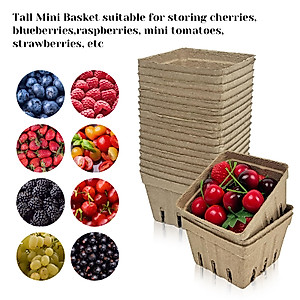 Rainmae 30 Pack Natural Pulp Fiber Berry Basket, Molded Berry Basket Produce Vented Container for Strawberry Blueberry Raspberry and Vegetable, Farmer Market, Grocery Stores, Backyard Party