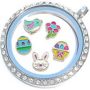 100 Assorted Floating Locket Charms