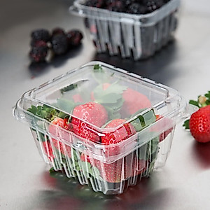 Plastic Berry Baskets (40-Pack) with Clamshell Lids 5-Inch Berry Boxes for Picking Blueberries Raspberries Strawberries Cherry Tomatoes