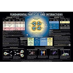 Contemporary Physics Education Project Thirty Fundamental Particles and Interactions Charts (16" x 11")
