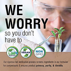 Solaray Fermented Mushroom Complete 1200 mg | Healthy Immune Function Support | 30 Serv | 60 VegCaps