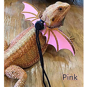 Bearded Dragon Leash and Harness Adjustable Leather Wings Costume Carrier from Baby to Juvenile Lizard Iguana Gecko Chameleon Hamster Ferret Reptile Walking Leash S M L 3 Pack