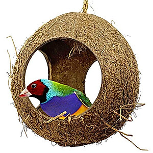 Bonka Bird Toys 2114 Three Hole Coco Hut Nest