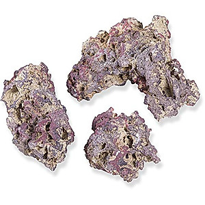 Caribsea Life Rock, 40-Pound