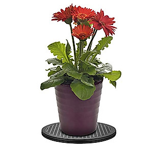Heavy Duty Rotating Swivel Stand with Steel Ball Bearings - Lazy Susan Spray Paint Turntable for Flat Panel Monitors, Potted Plants,TV's, Sculpture , Speakers (12 inch-2pack)