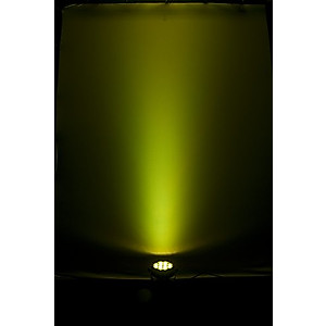 CHAUVET DJ (SlimPar Q12 BT)