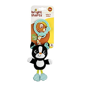 Bright Starts Bright Starts Take n' Shake Stroller Toys
