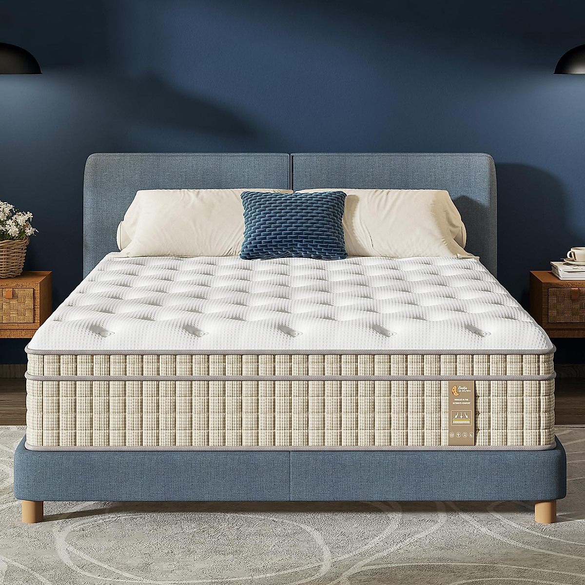 VISCOFLEX Twin Mattress, 10 Inch Twin Size Bed Mattress in a Box, Memory Foam and Pocket Innerspring Hybrid Mattress, Pillow Top Design for Pressure Relief and Support - Best Firmness Feel