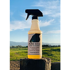Pure Sole Hoof Cleanse - All Natural Formula with Thrush Fighting Ingredients to Maintain a Healthy Hoof and Frog - 16 oz. Spray