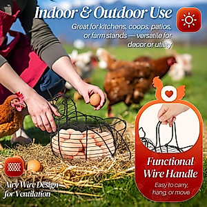 Flexzion Chicken Egg Holder, Small Wire Egg Collecting Basket with Handle for Farm Eggs, Fruits, Vegetables, Metal Wire Chicken Basket Decor for Kitchen, Countertop, Farmhouse Rustic Style, Black