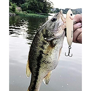 Heddon Super Spook Topwater Fishing Lure for Saltwater and Freshwater, Bone/Silver, Super Spook (7/8 oz)