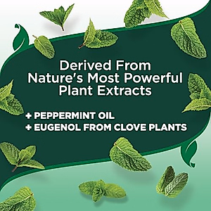 Vet's Best Flea & Tick Spray | Plant-Based Flea and Tick Treatment for Dogs | Certified Natural Oils | 8 Ounces