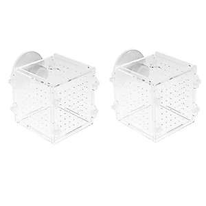 2 Pcs Fish Acrylic Incubator Baby Fish Incubator Fish Tank Tool Fish Hatchery Cage Aquatic Pet Supplies