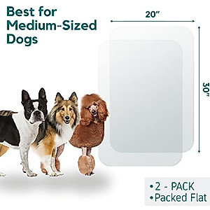 PROTECTO® Cat & Dog Scratch Door Protector for Indoors & Outdoors - 2-Pack 30" x 20" Transparent Door Protector from Dog Scratching, Smooth Deterrent Surface - Easy Installation with Sticky Pads