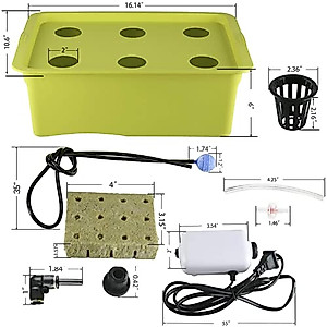Homend DWC Deep Water Culture Hydroponic System Growing Kit, Medium Size w/Airstone, 6 Plant Sites (Holes) Bucket, Air Pump, Rockwool - Best Indoor Herb Garden for Lettuce, Mint, Parsley (6 Sites)