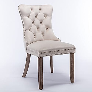 CIATRE Dining Chairs Set of 2 - High-end Tufted Solid Wood Contemporary Velvet Upholstered Dining Chair with Wood Legs, Nailhead Trim (Beige)