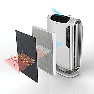 Fellowes AeraMax 290/300/DX95 Purifiers True HEPA Air Filter, 16.3" x 12.6" x 1.2", White, 9287201