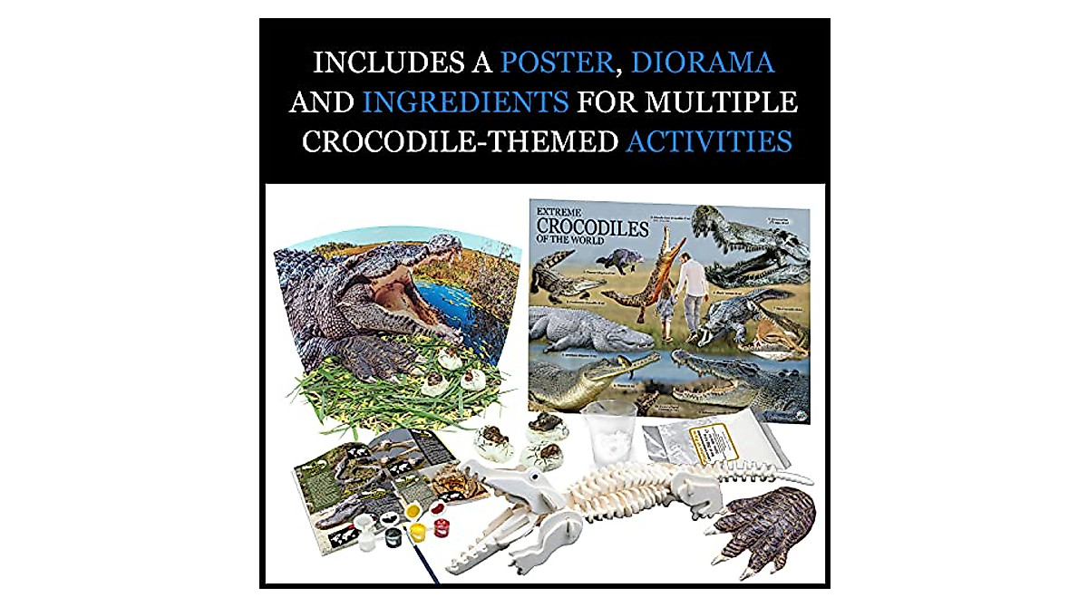 Extreme Crocodiles Science Kit for Ages 6+ | WILD!