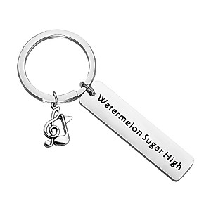 WSNANG Watermelon Sugar lyrics Inspired Gift Watermelon Sugar High Keychain Singer Fans Gift Music Lover Gift (Watermelon KC)