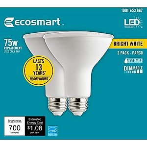 EcoSmart 75-Watt Equivalent PAR30 Dimmable Energy Star Flood LED Light Bulb Bright White (2-Pack)