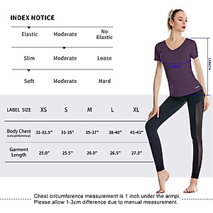 Zengjo Exercise Shirts Women Quick Dry V Neck(Heather Grey,S)