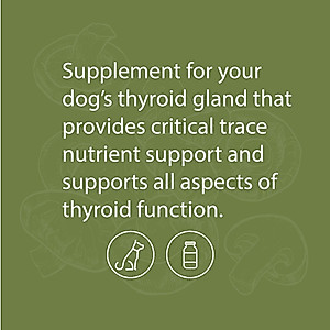 Standard Process - Canine Thyroid Support - Endocrine System Support for Dogs - 100 Grams