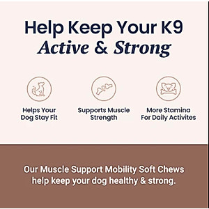 Holistapet Mobility Soft Chews, Amino Acids for Dogs, Supports Overall Health, Helps Maintain Activity, All Natural Ingredients (30 Count, Peanut Butter)