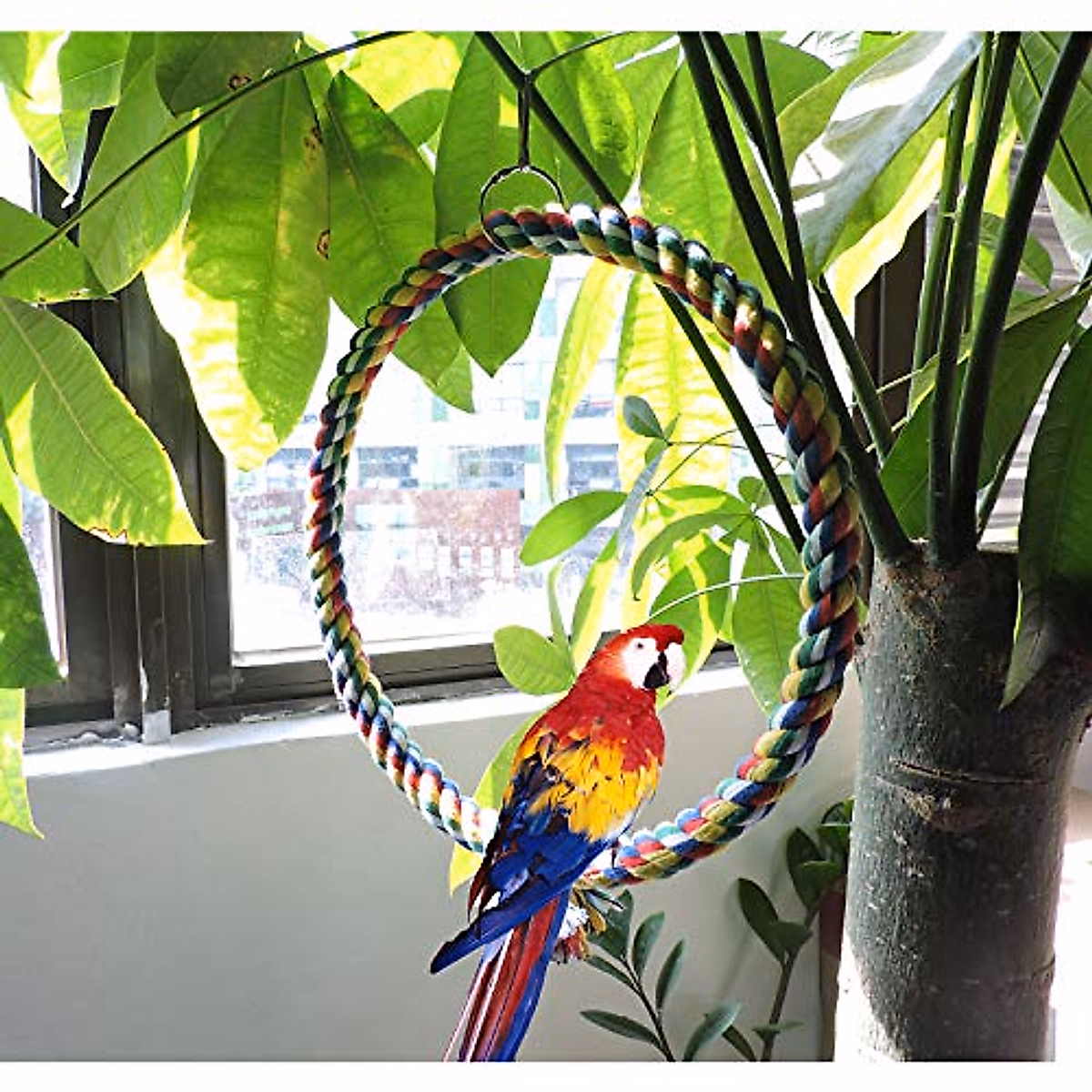 WishLotus Bird Swing, Cage Hanging Toys Cotton Rope Swing Bite Resistance Perches Toy Parrot Toy Boredom Breaker for Budgie, Cockatiels, Conures, Finches, Small Parakeets (25cm)