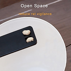 Rat Trap for House,Mouse Bucket Trap Rolling Mouse Trap Walk The Plank Auto Reset Humane Rat Trap,Live Catch and Release Bucket Spin Roller Multi Catch Ramp Included for Indoor Outdoor