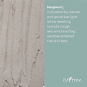 IsNtree Mugwort Calming Clay Mask 100ml, 3.38 fl.oz | Sebum Control | Pore Tightening | Exfoliates Rough Skin | Blackhead Care | Wash-Off Mask | Korean Skincare