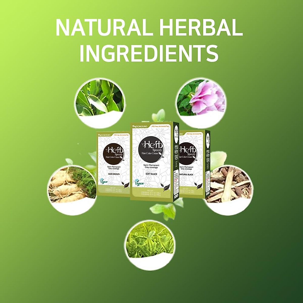 DONGSUNG Herb Speedy Color Cream (Soft Black, 1 Pack), PPD-Free Ammonia-Free Vegan Hair Dye with Sun Protection, Odorless, Gentle for Sensitive Scalp, No Eye or Scalp Irritation