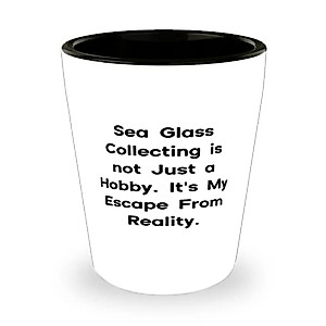 Epic Sea Glass Collecting Shot Glass, Sea Glass Collecting is not Just a Hobby. It's My Escape From, Joke for Friends, Holiday