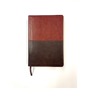 Santa Biblia NTV, Edición personal, letra grande, DuoTono (SentiPiel, Café/Café claro, Letra Roja) (Spanish Edition)