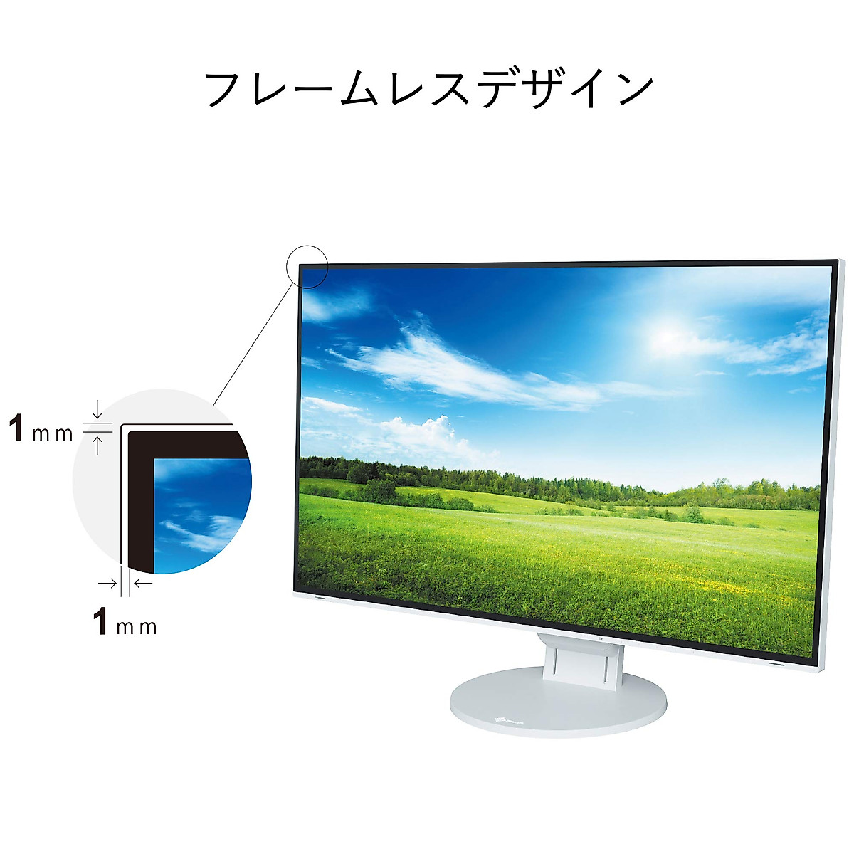 Eizo EV3285 4K Ultra-Slim Frame 31.5" Wide Screen IPS LED Monitor with FlexStand and Integrated Speakers, Black