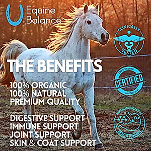 Equine Balance Premium Daily Supplement for Horses | Organic Advanced Bio-Nano Technology to Support Digestive Health | Improves Stamina | Immunity and Joint Support | 30 Day Supply | 5 oz