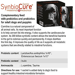 Synbiocure I Probiotics & Prebiotics for Dogs I Powder Dog Supplement I Digestive Health Support I 200 Billion Bacteria Per Sachet I 30 Sachets*2 g