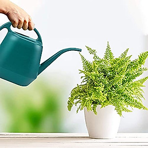 Fasmov Plastic Watering Can, 1-Gallon, Green