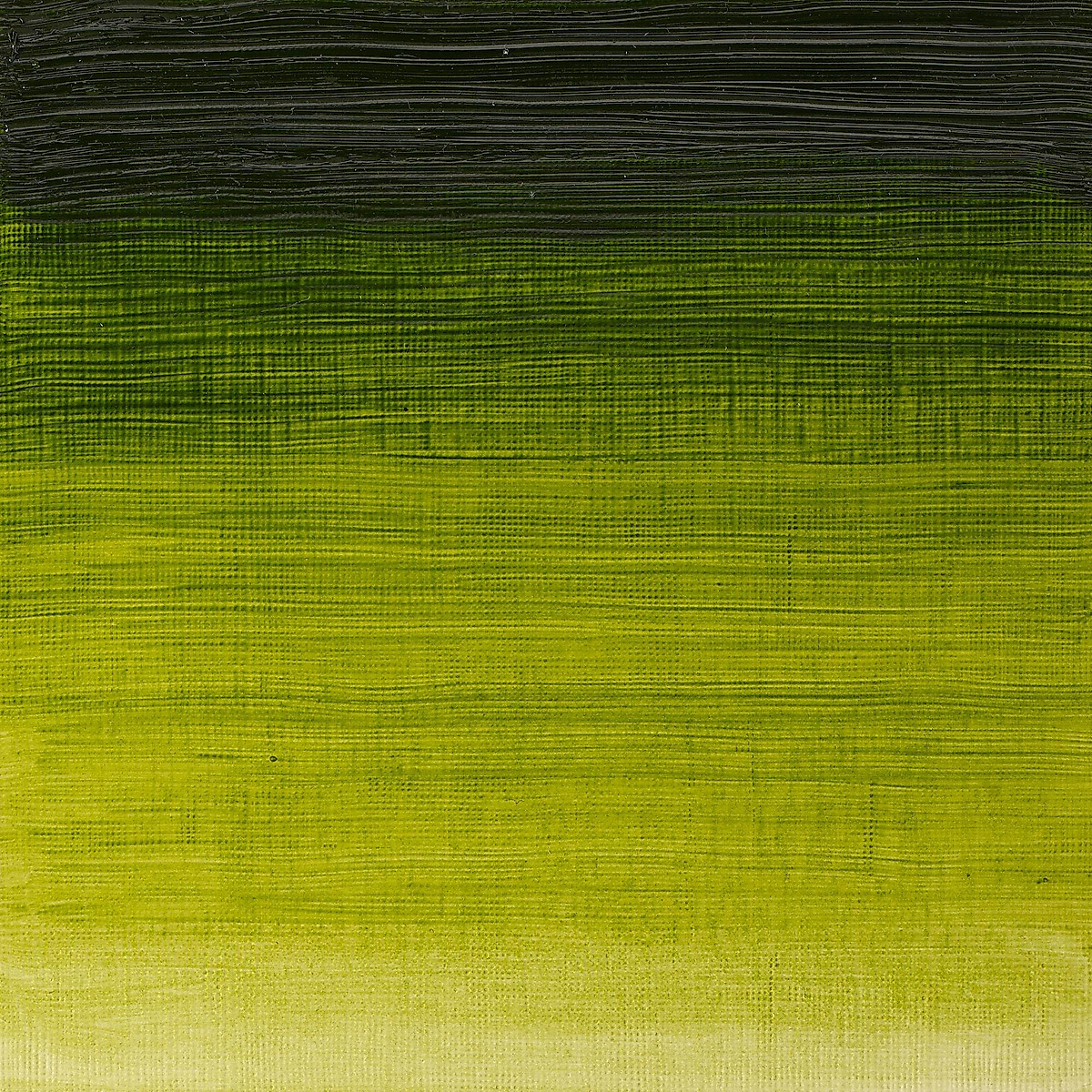 Winsor & Newton Winton Oil Color, 37ml (1.25-oz) Tube, Sap Green